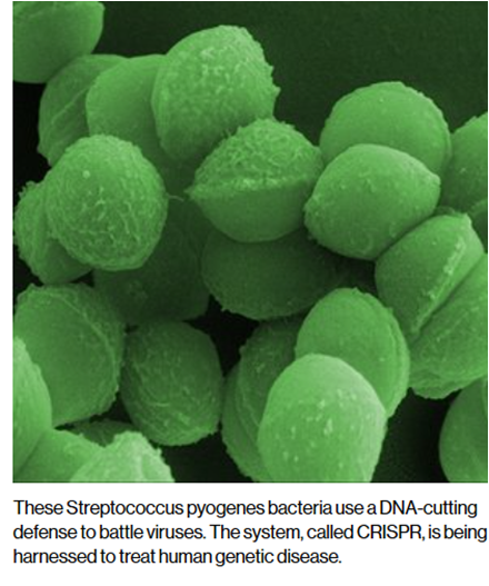 Who Owns the Biggest Biotech Discovery of the Century? – MIT Technology ...